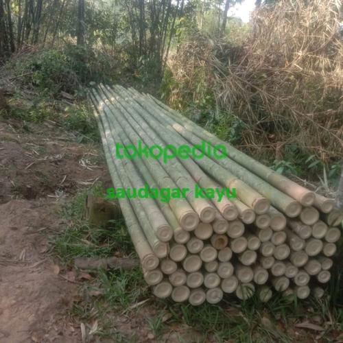 Jual bambu diameter 8-9cm murah steger - Jakarta Utara - Toko Kayu ...