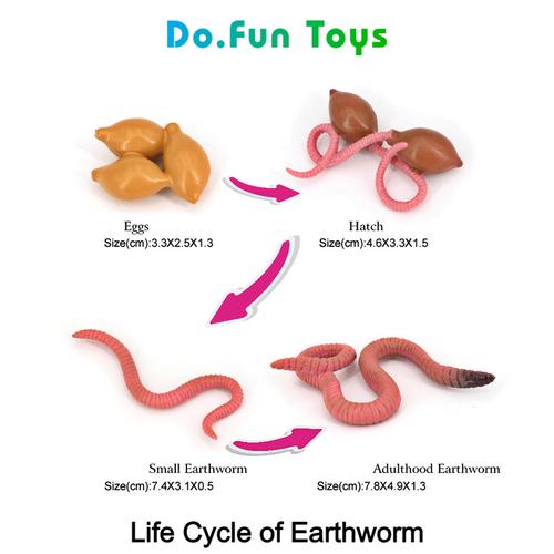 Jual Animal Figure Life Cycle of Earthworm / Siklus Hidup Cacing Tanah ...