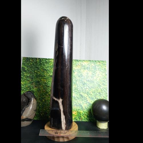 Jual Natural Stand Freeform Tall Fossil Kayu (petrified wood) (3 ...