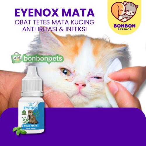 Promo Eyenox Obat Sakit Mata Kucing Obat Infeksi Iritasi Mata Pet ...