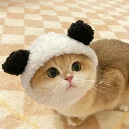 Jual Bando Topi Kostum Anjing Kucing - Cat Dog Pet Bear Hat Hood Cap ...