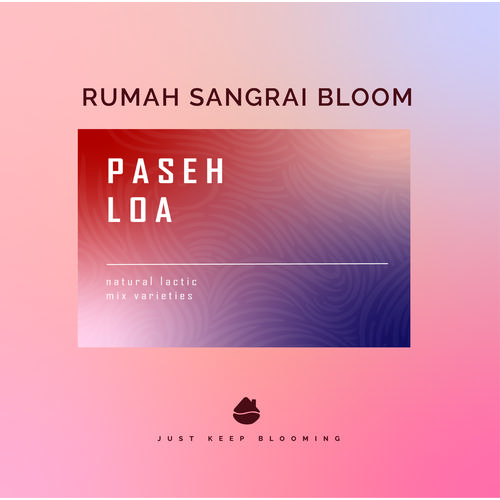 Jual PASEH LOA NATURAL LACTIC | biji kopi filter arabica LOA speciality ...