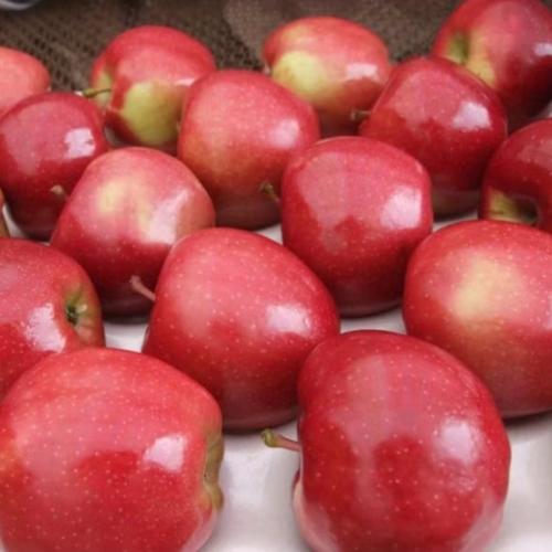 Promo Apel Merah Red Washington USA 1kg - 500gr - Kota Tangerang - Omah ...
