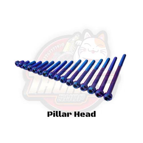Jual BAUT PILLAR / SMALL HEAD M6X10,15,20,25,30,35,40,45,50,60 TITANIUM ...