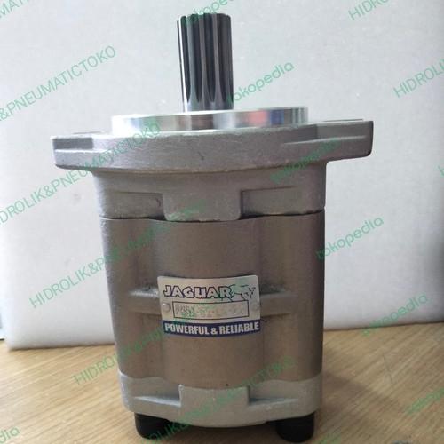 Jual Gear pump PHBX-52-L-22 JAGUAR / gearpump 52cc gigi 13 putaran kiri ...