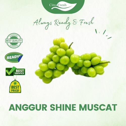 Jual CITRA FRESH Anggur Shine Muscat 250 Gram - Selalu Ready dan Fresh ...