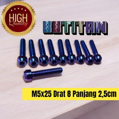 Jual Baut Titanium GR5 M5x25 Drat 8 Panjang 2,5 cm Payung Big Head ...