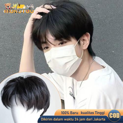 Jual Wig Pria Rambut Palsu Pria Wig Cowok Pendek Wig Laki Laki Korea ...
