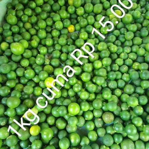 Jual jeruk sonkit 1 kg murah Rp 15.000 - Kab. Bogor - jeruk songkit ...