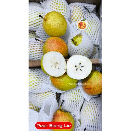 Jual Buah pir xianglie pear xiangli jumbo / ons xiang lie manis banyak ...