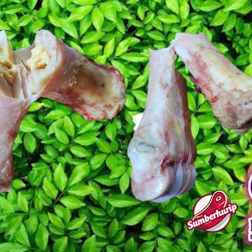 Jual tulang sumsum / tulang balung / tulang kaki sapi 1pcs - Kota ...