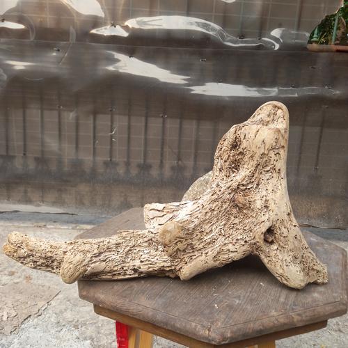 Jual kayu laut driftwood kl 24r466 aquascape aquarium - Kota Tangerang ...