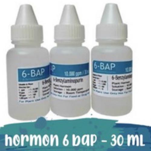Jual Cairan hormon tanaman hormon bap. 6-bap benzyl amino purin 10.000 ...