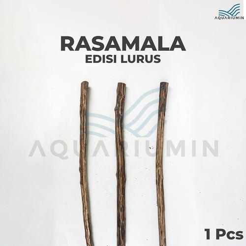 Jual Kayu Rasamala Lurus / Batang Rasamala Aquascape / Aquarium ...