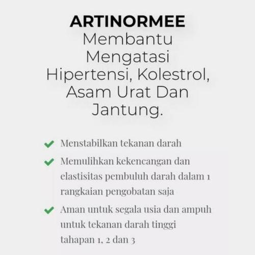 Jual Obat Hipertensi Darah Tinggi Artinormee Herbal Asli Original ...