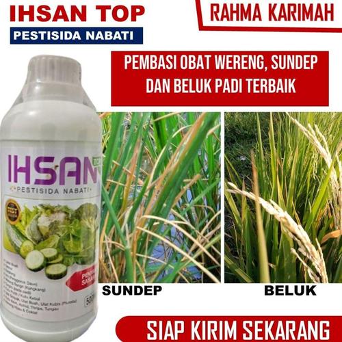 Jual Terlaris Insektisida IHSAN TOP 500 ML obat Hama Wereng Sundep ...