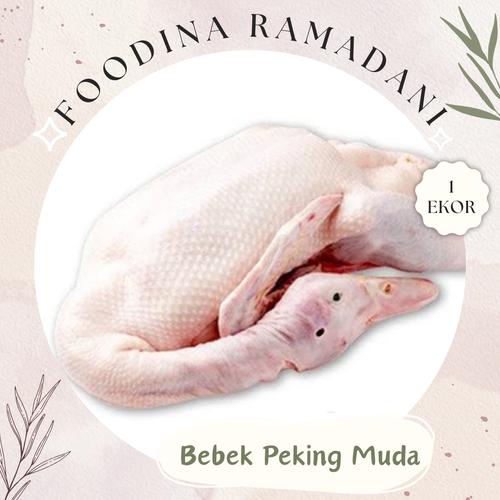 Jual BEBEK PEKING Muda - Duck Fresh [ 1 Ekor - Size 0.8-1 Kg ] Harga ...
