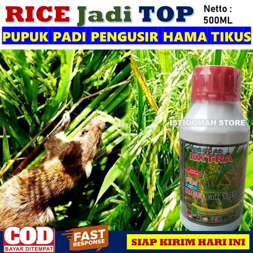 Jual RICE JADI TOP 500ml - Obat Semprot Hama Tikus & Hama Lainnya Menambah Bobot Gabah Padi ...