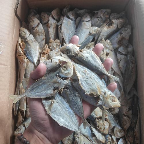 Jual Ikan Asin Selar Rebus kemasan 1kg - Kota Tegal - Erfan Racing ...