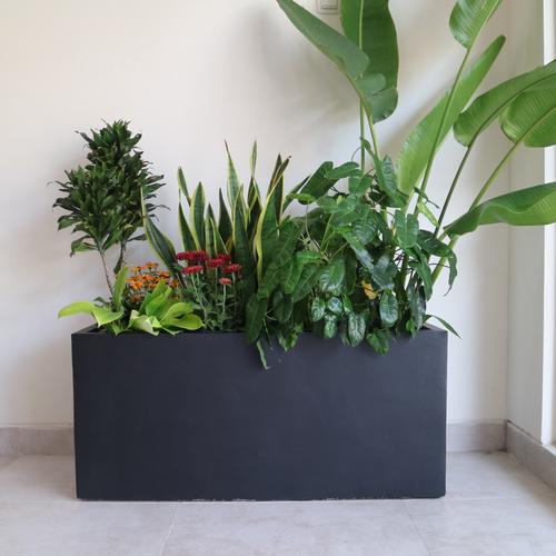 Jual Pot Tanaman Panjang Bahan Semen Planter Box Large PxLxT ...