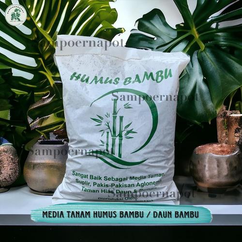 Promo Media Tanam Humus Bambu Untuk Aglonema dan Tanaman hias - HUMUS ...