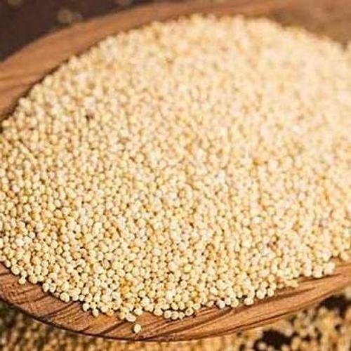 Jual KASKAS BIJI KASKAS BIJI POPPY POPPY SEEDS - Jakarta Pusat ...