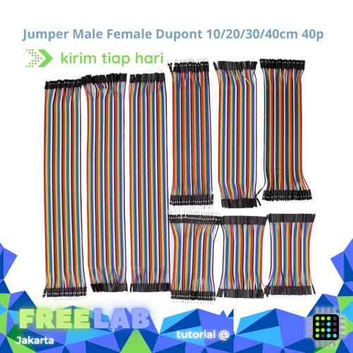 Jual Kabel Jumper Female to Female Male to Male Female to Male 40p ...
