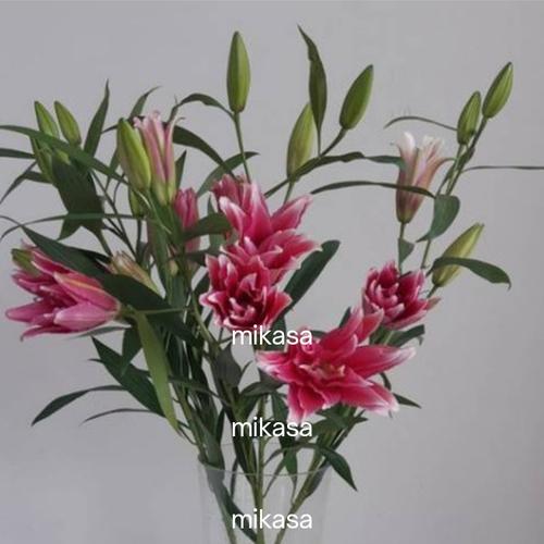 Jual bunga rose lily merah | bunga roselily wangi asli segar isi 5 ...