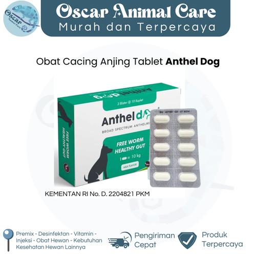 Jual Anthel Dog 1 Box - Obat Cacing Anjing by Kalbe [ORIGINAL] - Box ...
