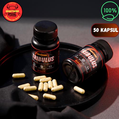 Jual TRIBULUS TERRESTRIS KAPSUL 500 MG 50 kapsul supplement gym dan ...