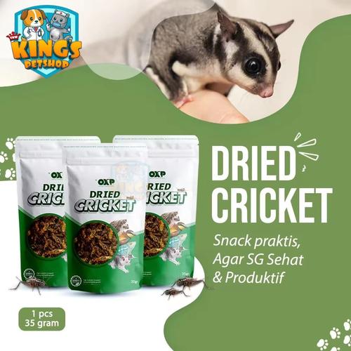 Jual MAKANAN HEWAN KECIL / OXP DRIED CRICKET 35GR - DENGAN BUBBLE - Kab ...