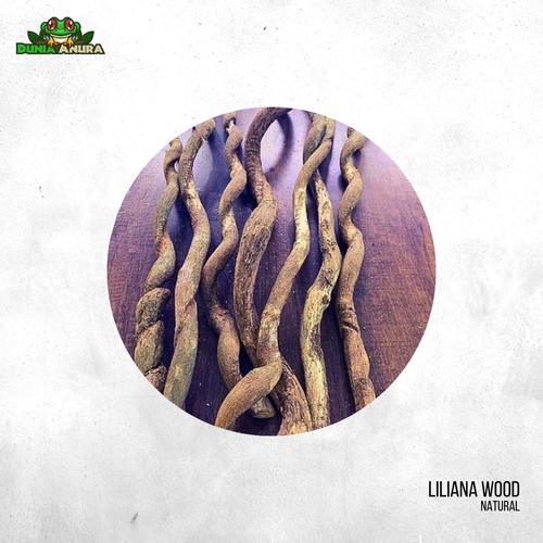 Jual kayu liliana natural hardscape terrarium vivarium - Jakarta Barat ...