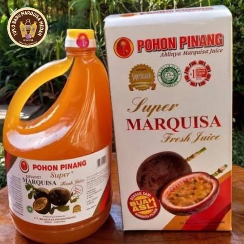 Jual Marquisa Pohon Pinang botol plastik 2 liter - Jakarta Selatan ...