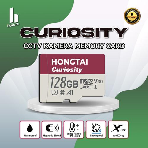 Promo HONGTAI Memory Card Micro SD CCTV Switch HighSpeed A1 100mb ...