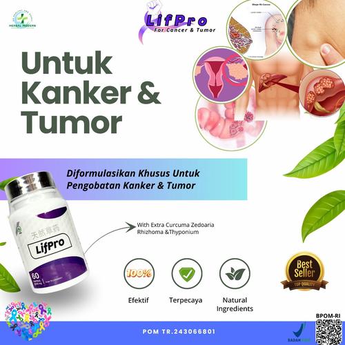Jual LIFPRO Obat Tumor Jinak & Tumor Ganas Obat Kanker Ampuh Standar ...