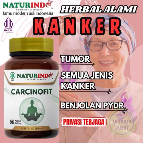 Jual Obat Kanker Payudara Herpes Campak Gabagen Cacar Carcinofit ...