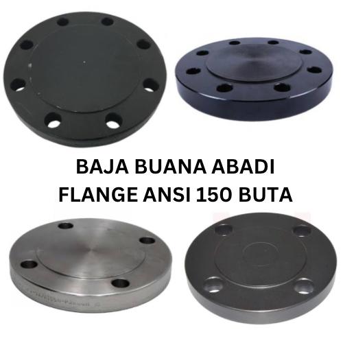 Jual FLANGE ANSI 150 BUTA RF 1/2” - FLANGE CARBONSTEEL ANSI 150 BLIND ...