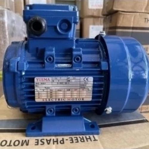 Jual Dinamo Yuema 5.5Hp 4Kw 2Pole 2900rpm 3Phase B3 Model Flange ...