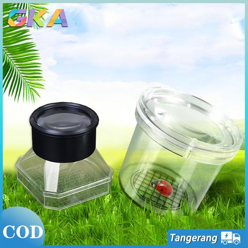 Jual Insect Observation Box-Kotak Display Serangga-Insect Observation ...