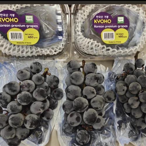 Promo Anggur KYOHO KOREA 1 Pack - Jakarta Barat - Buah Segar Nuryadi ...