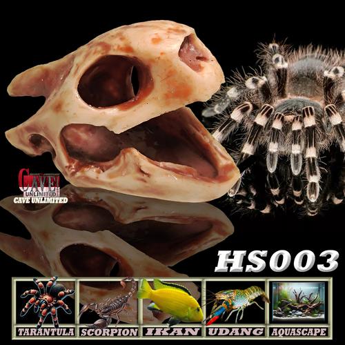 Promo HS003 HIDING SKULL TENGKORAK KEPALA TORTOISE KERANGKA FOSIL ...