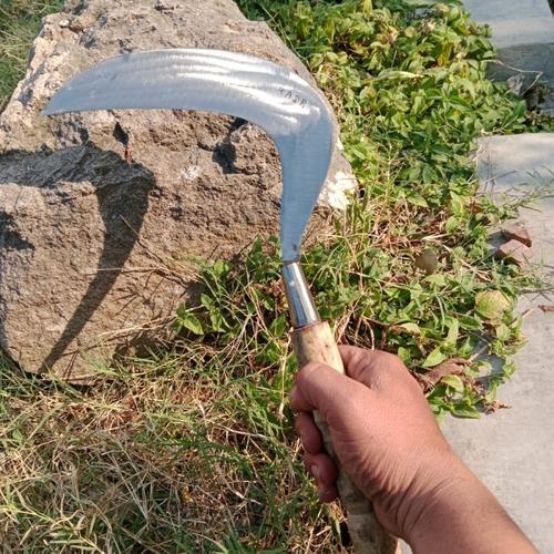 Jual Arit potong Rumput Padi Bahan Baja Asli bahan talebal 2 ml untuk ...