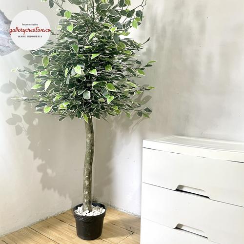 Jual pohon artificial besar tinggi hiasan ruang tamu - daun lebat ...