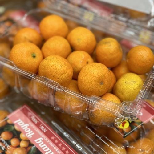 Jual Jeruk Shantang Royal Yuji 500gr - Kota Bandung - Sagala Ada ...