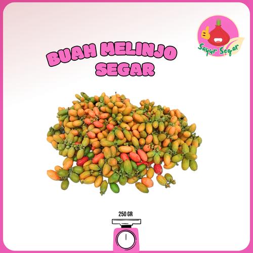 Jual BUAH MELINJO/BIJI MELINJO 250 gram - Buah melinjo - Kota Tangerang ...