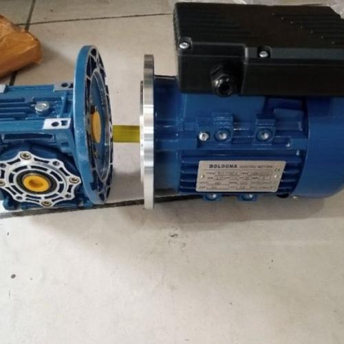Jual GEAR NMRV 050 + MOTOR 0,75Kw 1Hp 1PHASE RASIO 1:40 - RASIO 1:10 - Jakarta Barat - MITRA ...