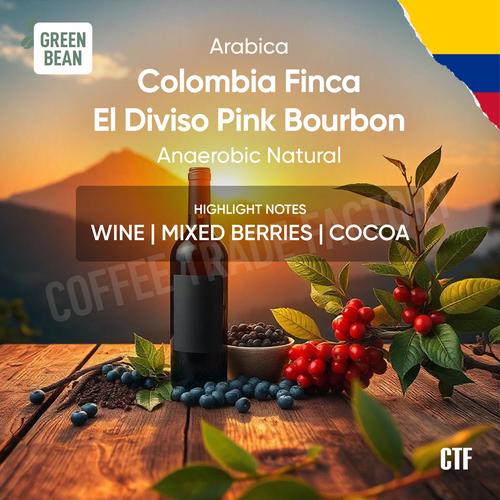 Promo Green Beans Arabika Colombia Finca El Diviso Pink Borbon ...
