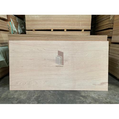 Jual Triplek 10mm Meranti Full 122x244cm plywood papan kayu lapis 10 mm ...
