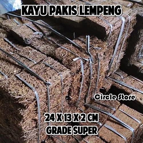 Jual Pakis Lempeng Media Tanam Super Anggrek / Pakis Papan Tanaman ...