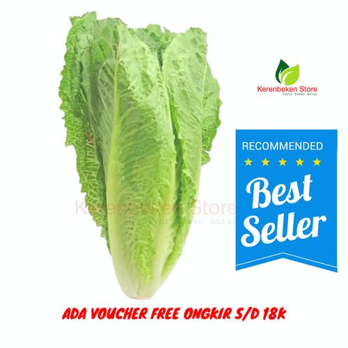 Jual selada romaine lettuce segar 1kg - romaine 250gr - Kota Tangerang ...